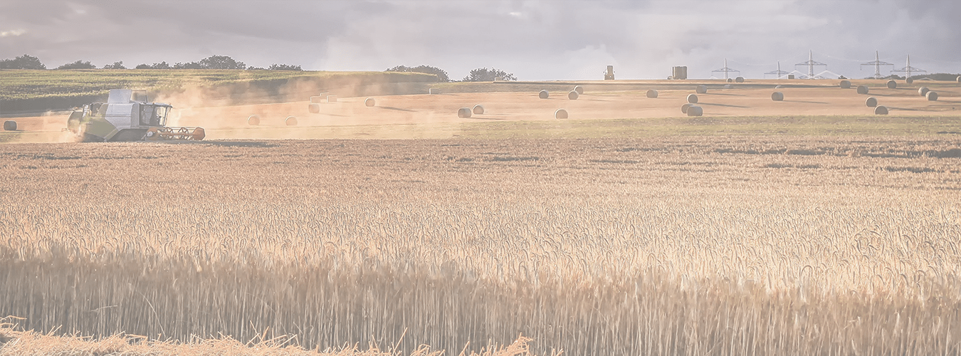 Sì Parts automotive: 3B6 – IMEAR – CIAM – UNIDECK – CAT – MT - GABRIEL